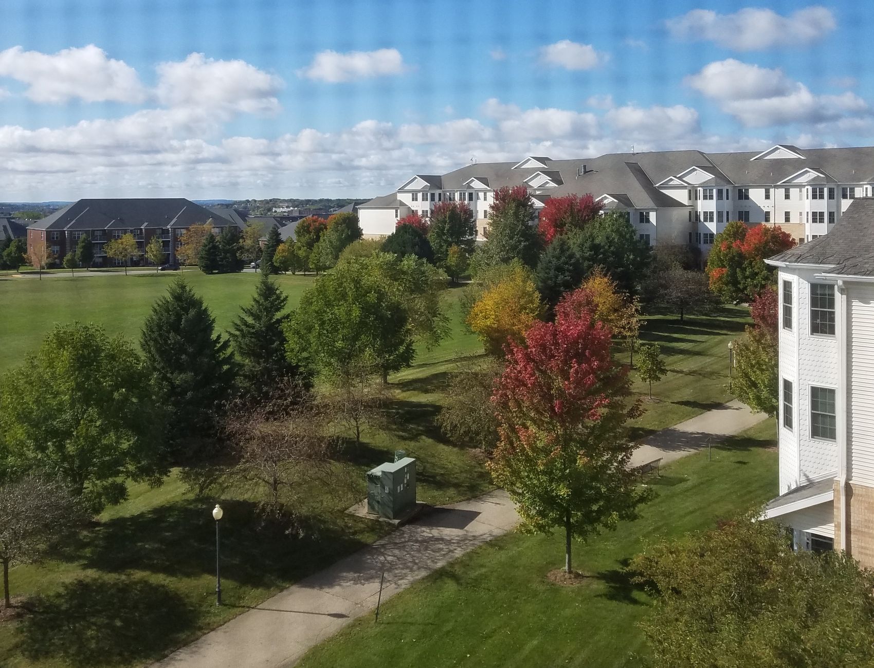 Fall Foliage! - AARP Online Community