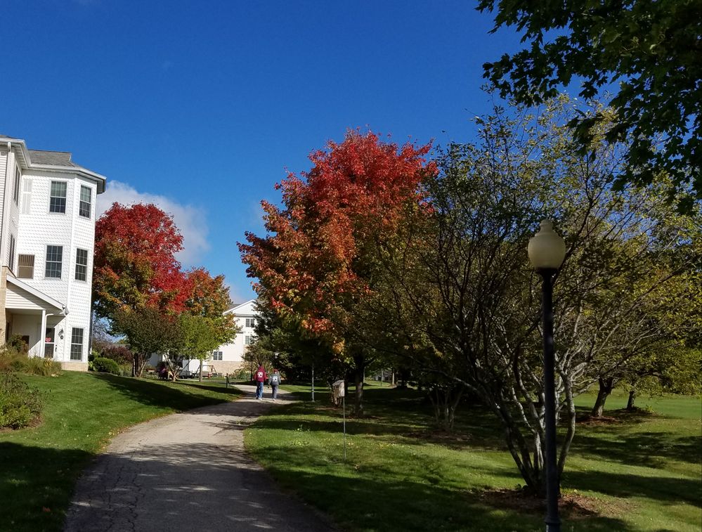 Fall Foliage! - AARP Online Community