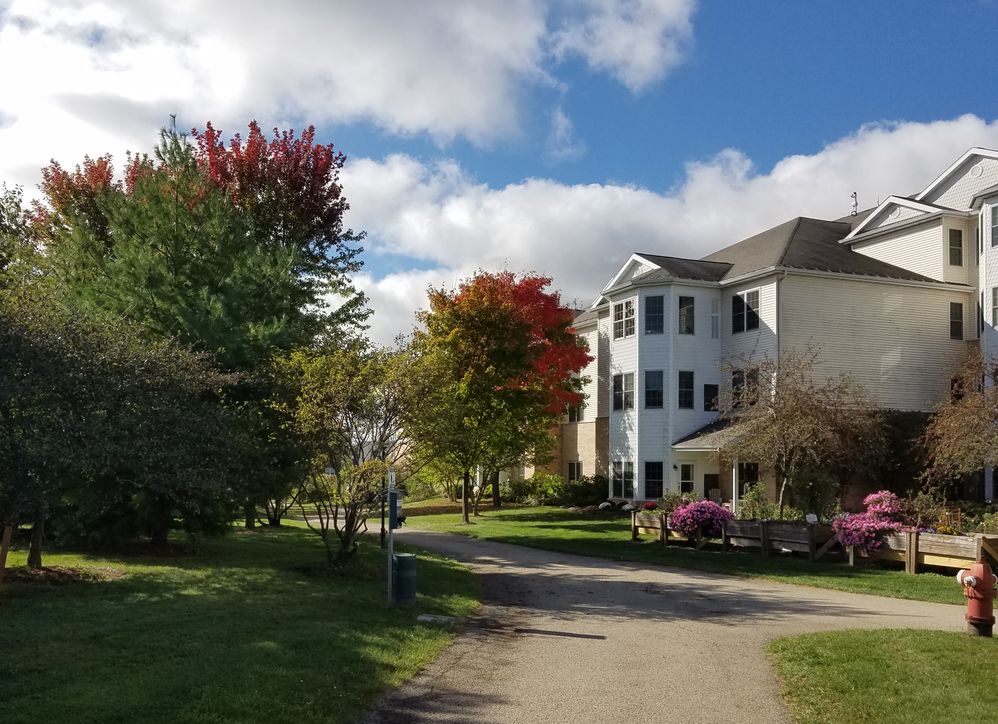 Fall Foliage! - AARP Online Community