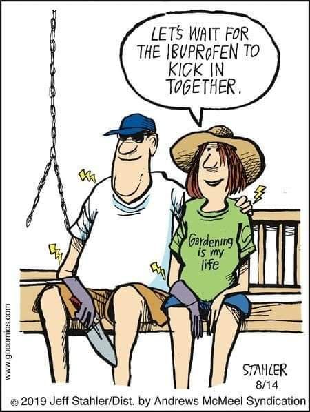 Senior Citizen stories, Senior jokes and cartoons. - Page 6 - AARP ...