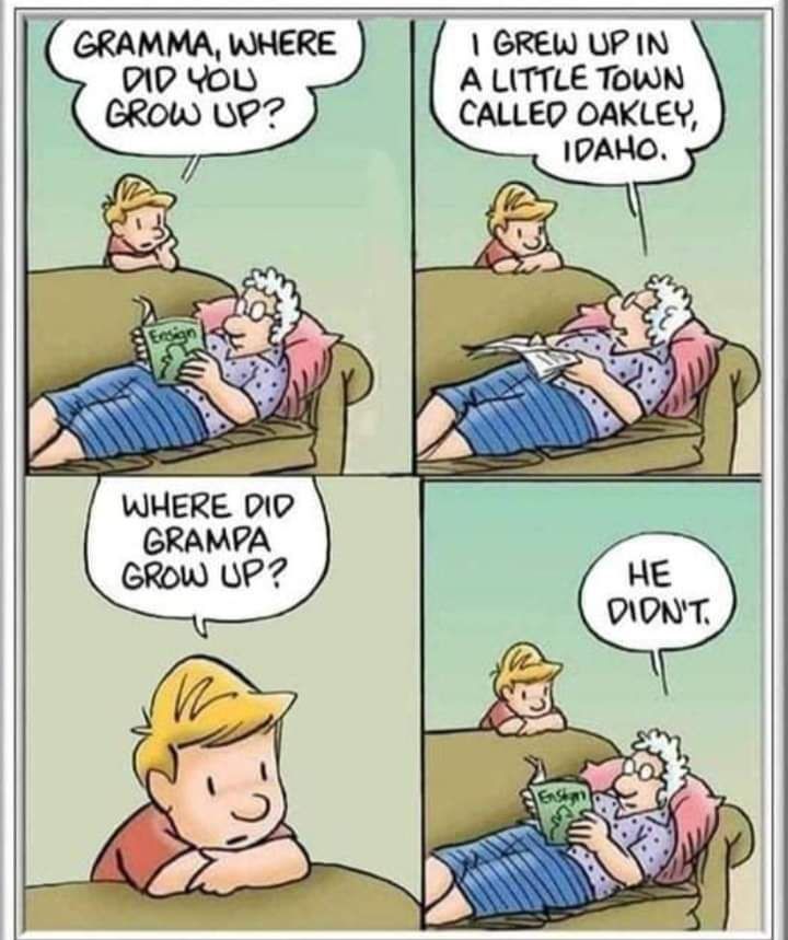 Senior Citizen stories, Senior jokes and cartoons. - Page 6 - AARP ...