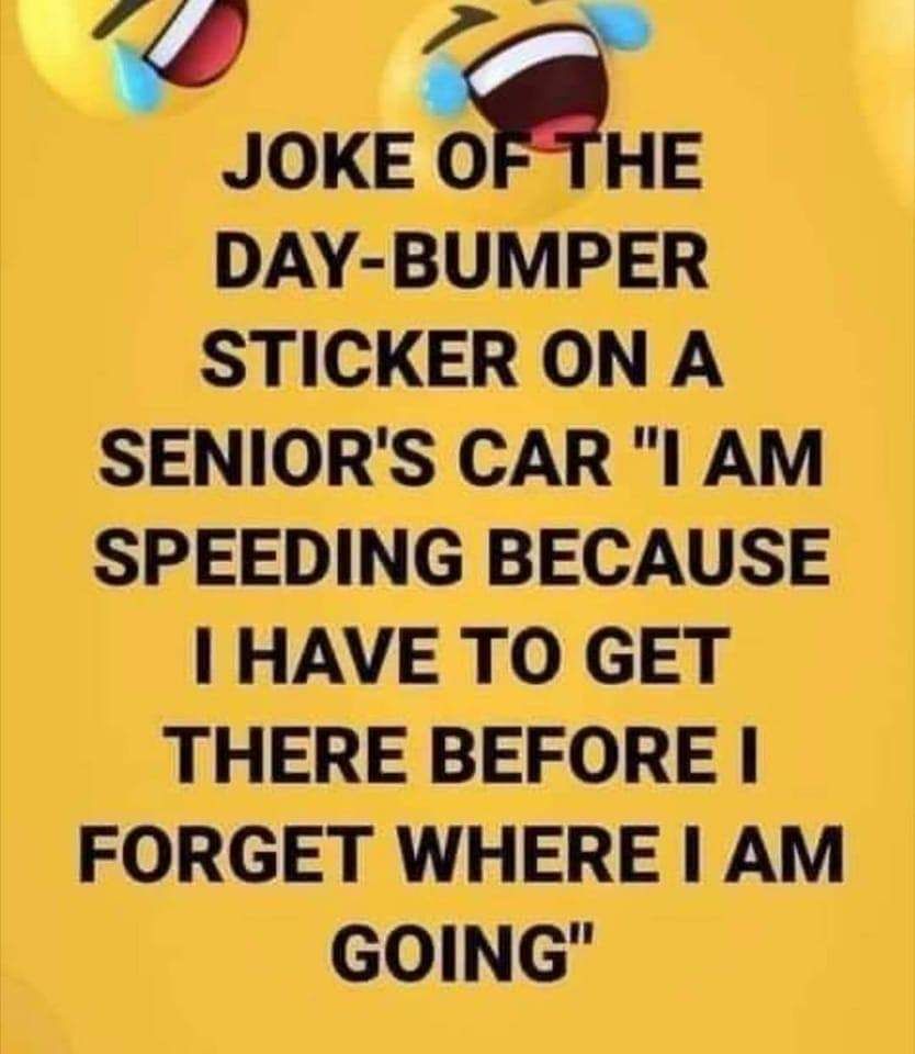 Senior Citizen stories, Senior jokes and cartoons. - Page 4 - AARP ...