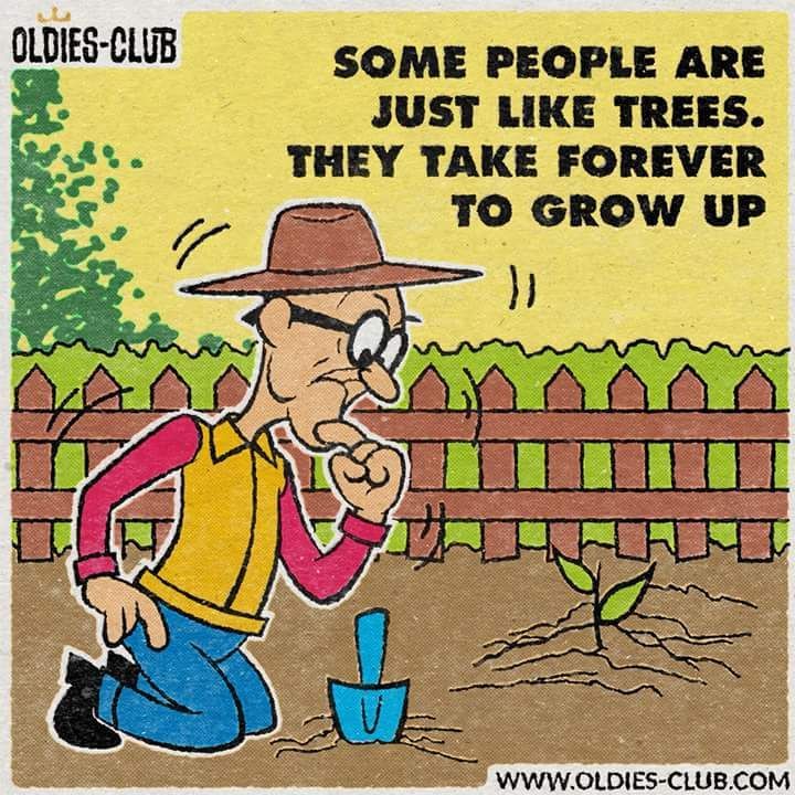 Senior Citizen stories, Senior jokes and cartoons. - Page 3 - AARP ...