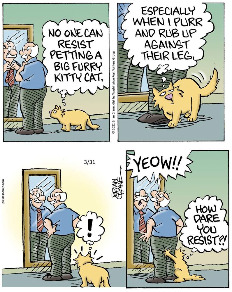 Funny Cartoons Pictures Jokes