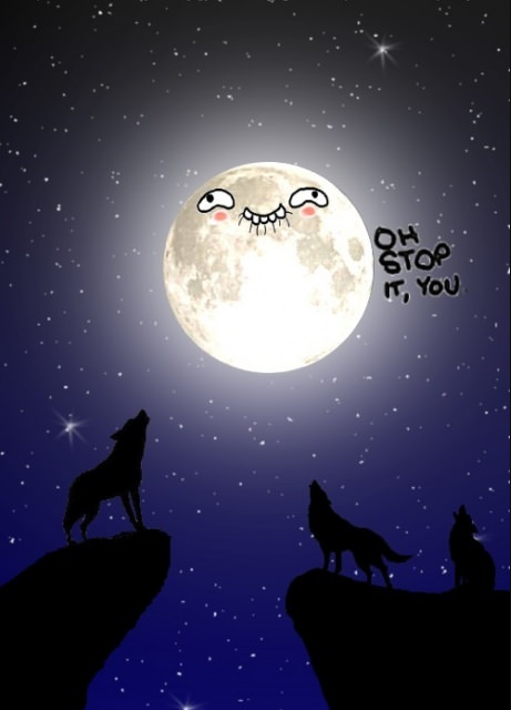 Solved: AARP Online Community and Discussion Forums - 🐺🌕 Beware the ...