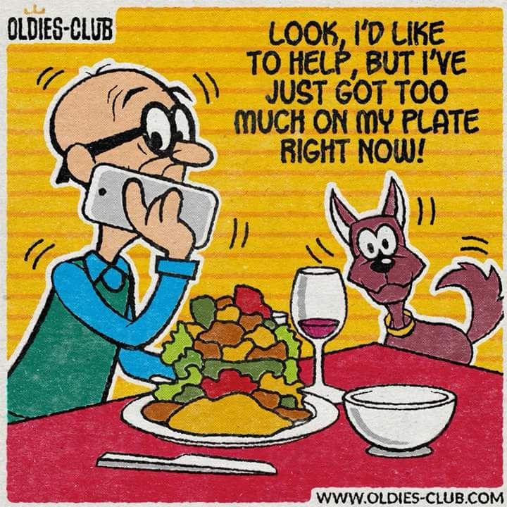 Solved: AARP Online Community and Discussion Forums - Re: Senior ...