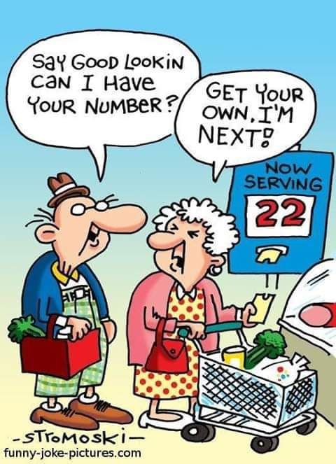 Solved: Re: Senior Citizen stories, Senior jokes and carto... - AARP ...